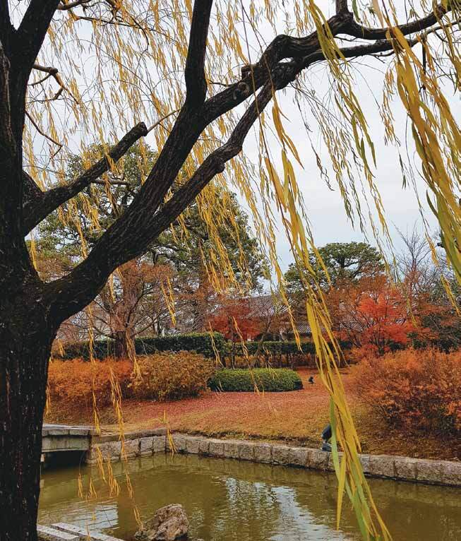 EDITORIAL – Dr Annetta Tsang - Luke's Journal